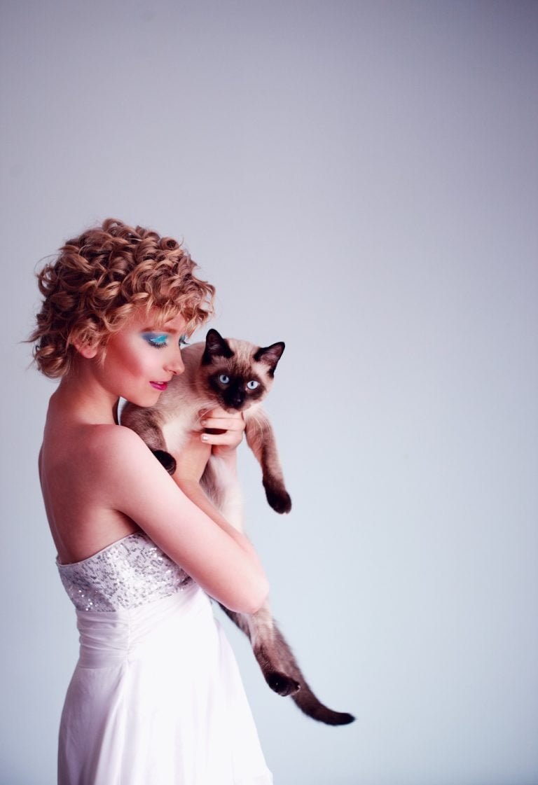 Siamese Cats: The Purrfect Companions for Life - Pet Breed Hub