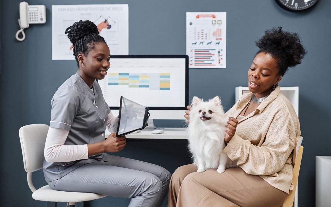 what a pet wellness plan is and how it works. Learn about the benefits ...