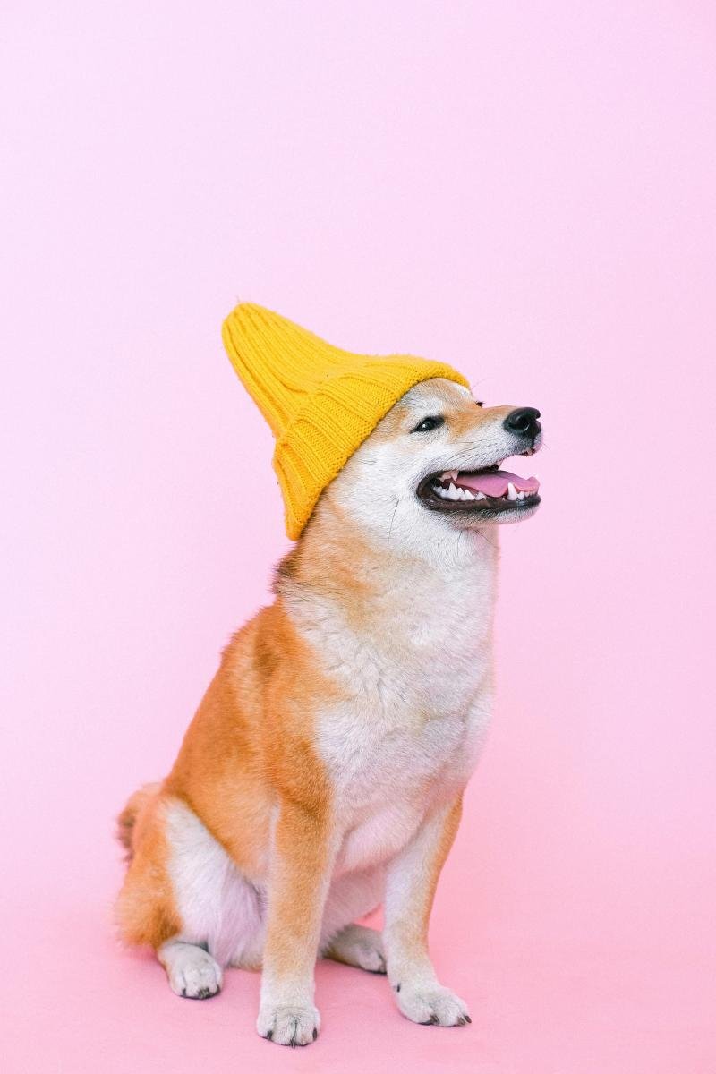 Breed History and Origins - Pet Breed Hub
